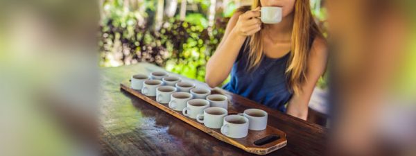 Prensado Francés | Degustación del Café: Un Arte Accesible Para Todos